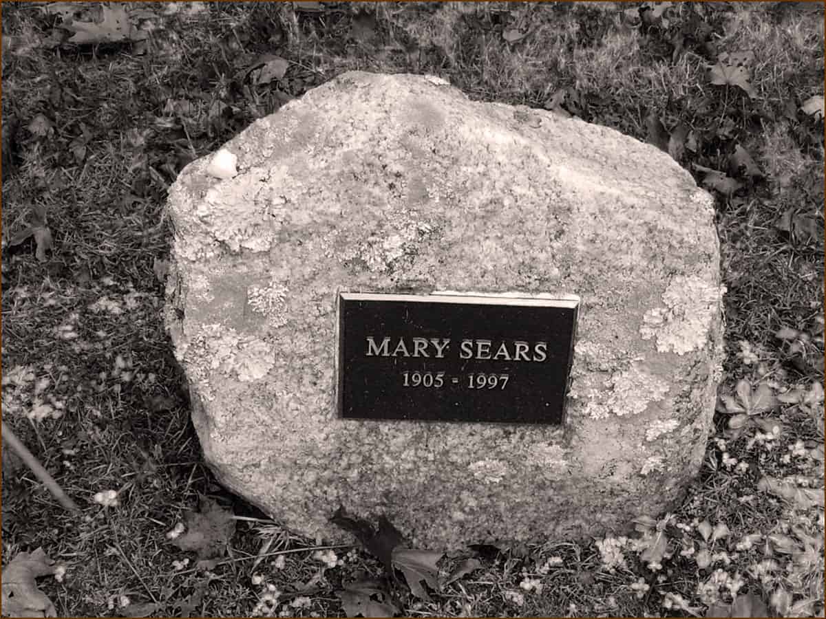 Mary Sears - Pioneering Oceanographer Who Helped Win World War II ...