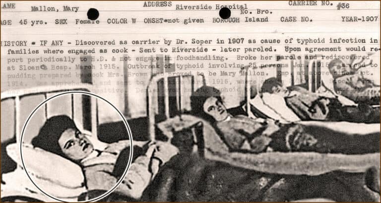 Cooking Up an Epidemic With Typhoid Mary - WednesdaysWomen